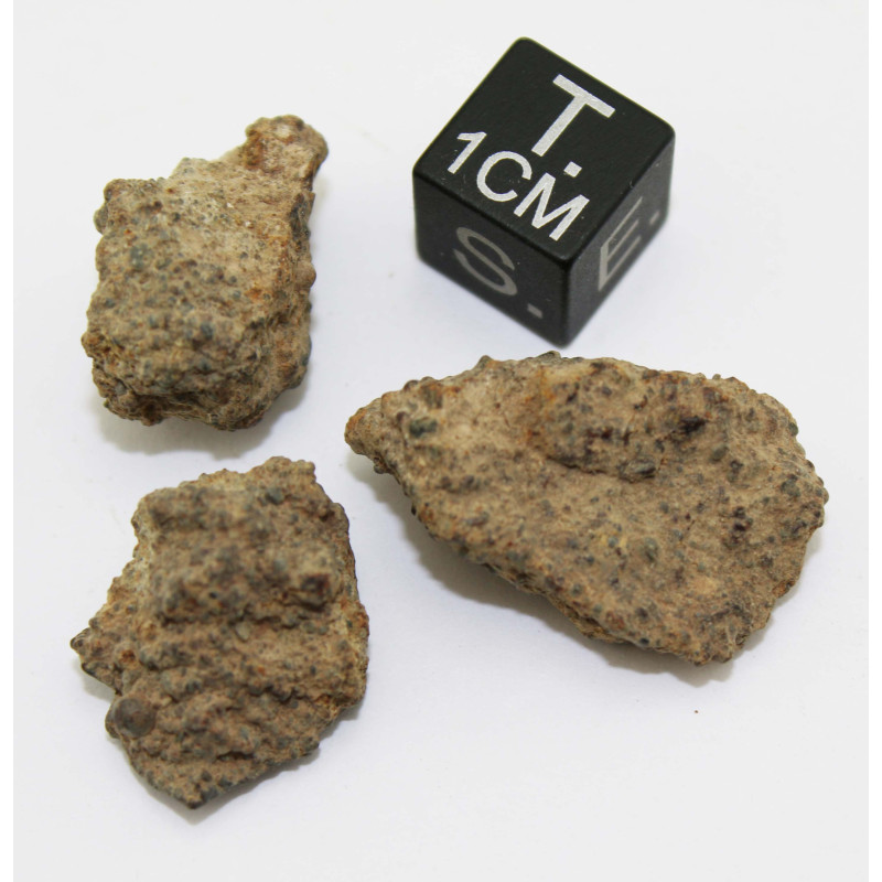 3 fragments de Météorites NWA 11882 Chondrite LL4 W2