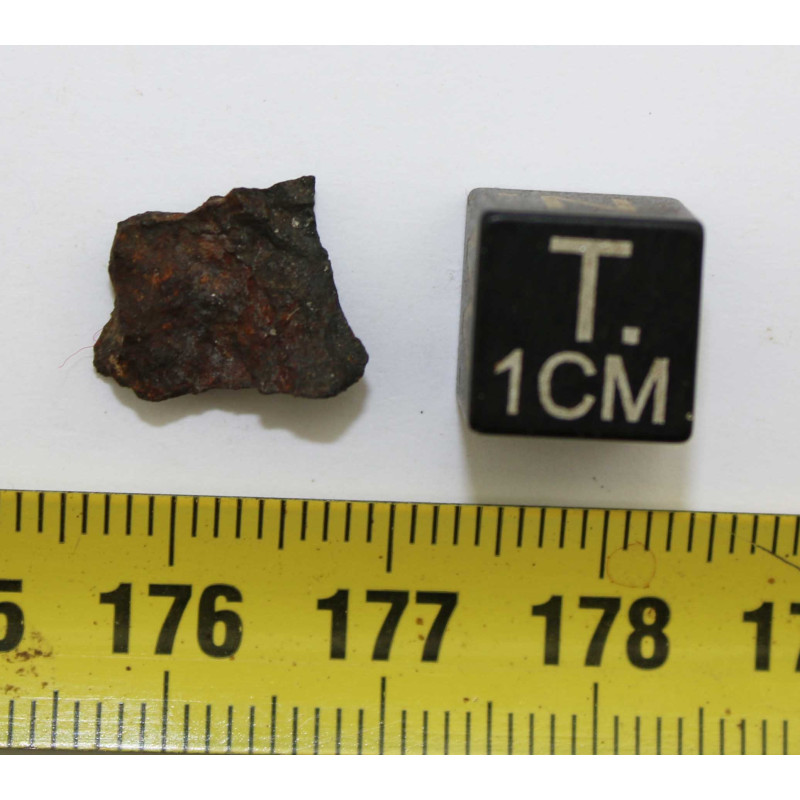 Fragment de Météorite Dimmitt dans une boite - Chondrite H3-7 ( 0.61 g ...