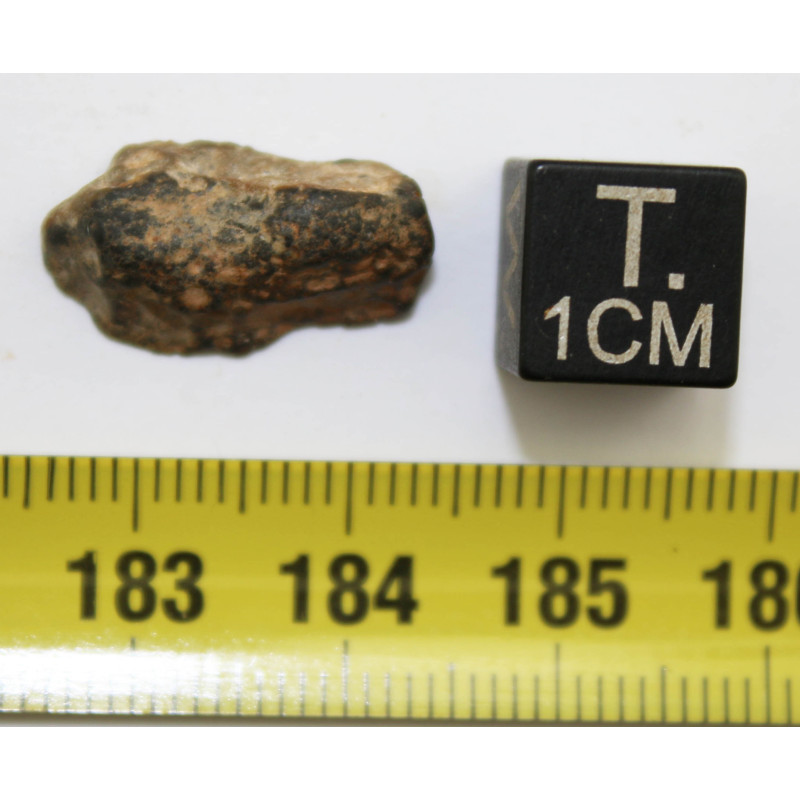 Météorite Lunaire NWA 14798 dans une boite Feldspathic Breccia (1.40 ...