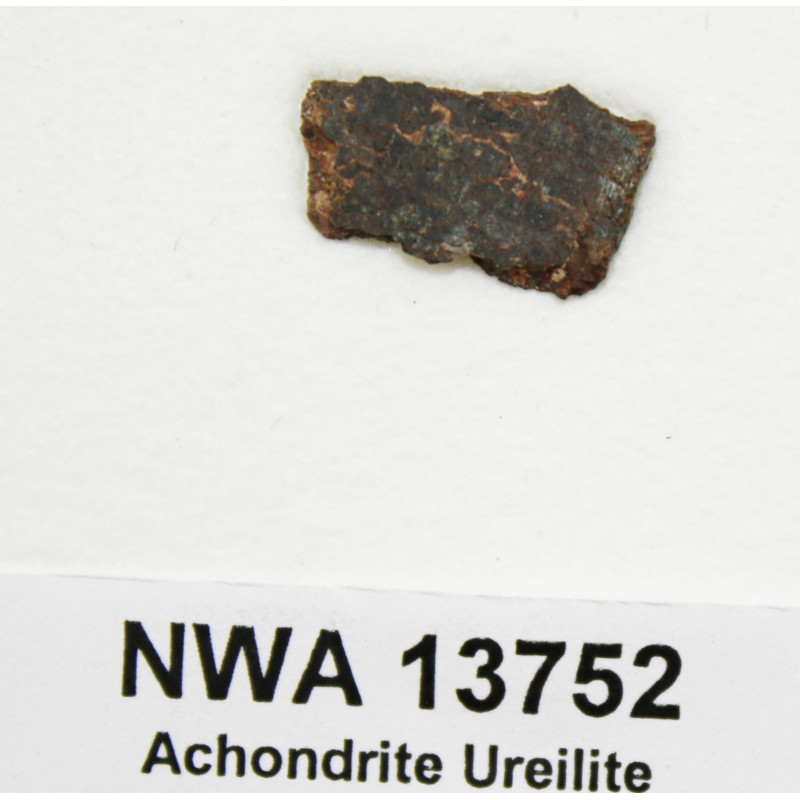 Tranche de NWA 13752 Primitive Achondrite Ureilite Monomict ( 0.25 ...