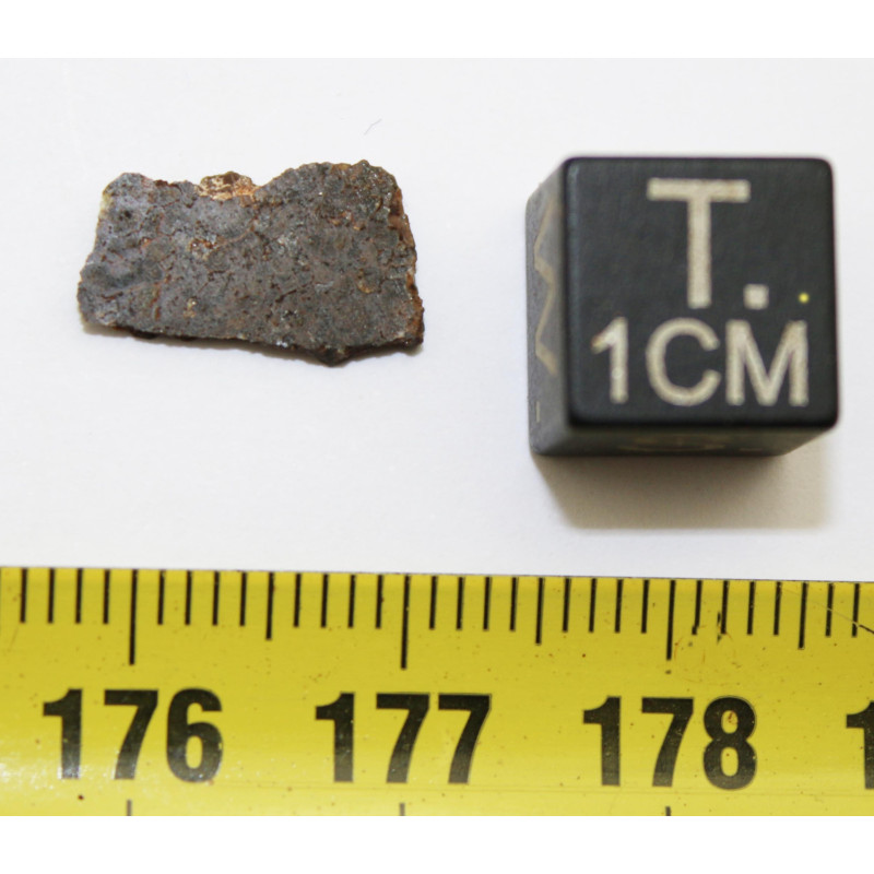 Tranche de NWA 13752 Primitive Achondrite Ureilite Monomict ( 0.25 ...