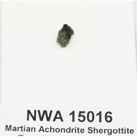 Tranche de Météorite NWA 15016 - Martienne Achondrite Shergottite ( 0. ...